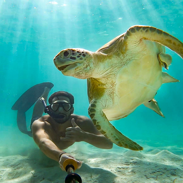 About Harbour Island | Conch & Coconut